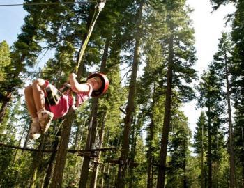 Tahoe Treetop Adventure Park | Tahoe Getaways