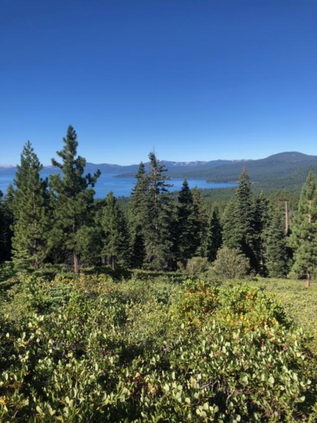 Tahoe National Forest | Tahoe Getaways